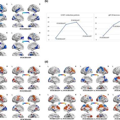 Patients Gmv And Gfcd A Location Of Gmv Reduction By Patient Group Download Scientific