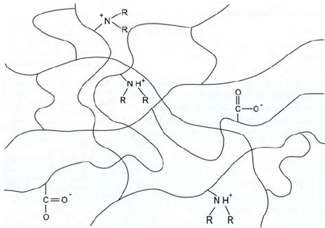 Carrier Ampholytes For Ief Analysis A General Formula Of Ampholytes
