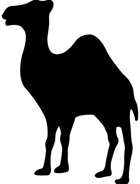 Camel Drawing Outline At Explore Collection Of