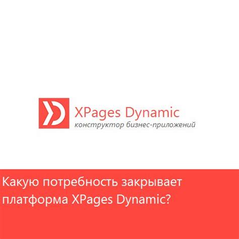 Какую потребность закрывает платформа Xpages Dynamic Детальная