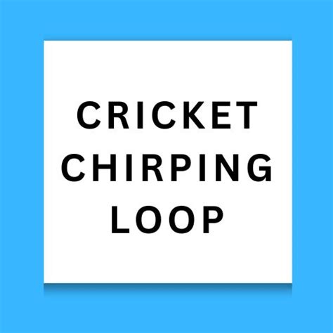 Cricket Chirping Loop Free Download Sound Effect