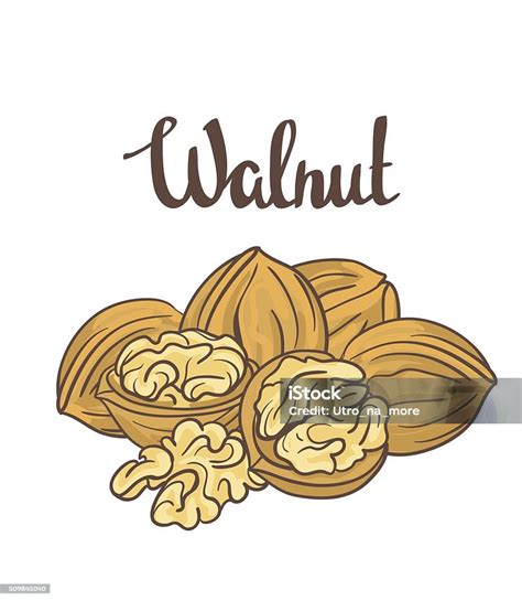 Kenari Terisolasi Di Latar Belakang Putih Label Kartun Vector Ilustrasi Stok Unduh Gambar