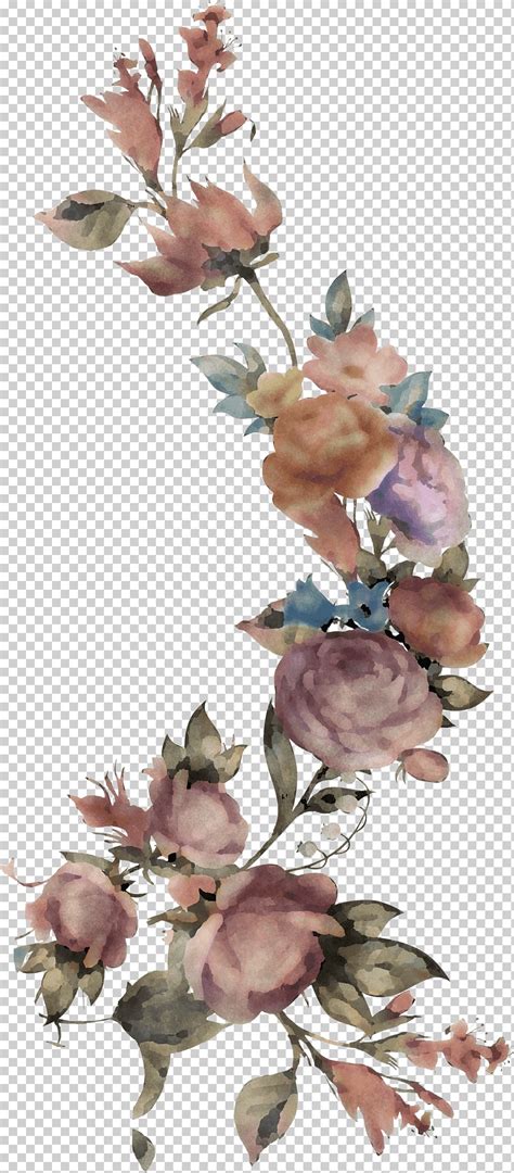 การออกแบบดอกไม้ การวาดภาพ ภาพลายเส้น กุหลาบ กุหลาบสวน ดอกไม้