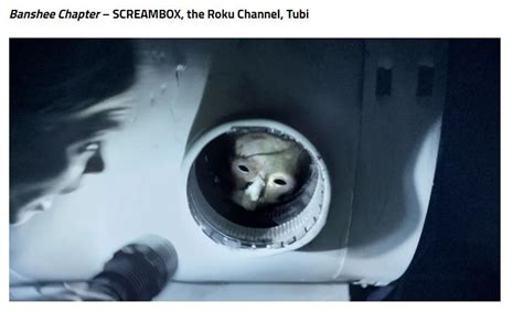 익스트림무비 이번 주 스트리밍할 5편의 파운드 푸티지 공포 영화