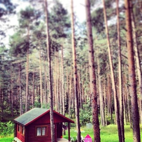 Poilsio Baze Pailgis