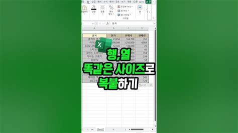 엑셀 행열 똑같은 사이즈로 복사 붙여넣기 하는 방법 Youtube
