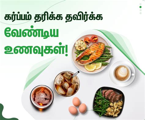 தாய்ப்பால் சுரப்பு அதிகரிக்க சாப்பிட வேண்டிய உணவு வகைகள் Best 20