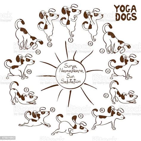 Dog Doing Yoga Position Of Surya Namaskara向量圖形及更多狗圖片 狗 瑜伽 2015年