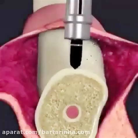 دندانپزشکی دکتر حسینی