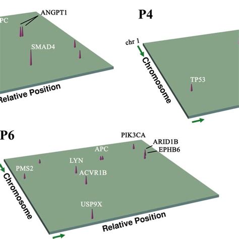 Development Of Capp Seq A Schematic Depicting Design Of Capp Seq Download Scientific Diagram