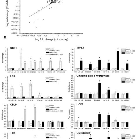 validation of microarray results via quantitative real time pcr a