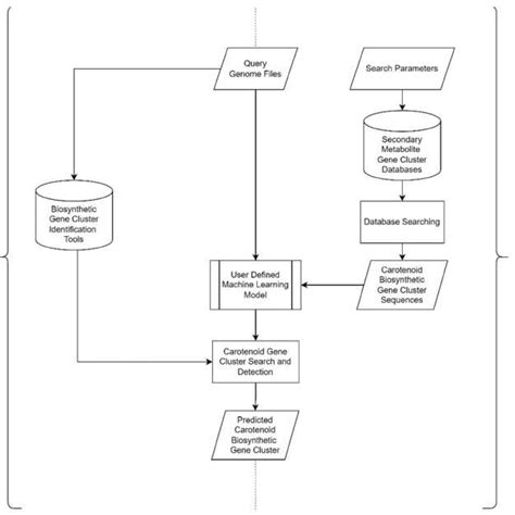 General Workflow Of In Silico Carotenoid Screening Using Databases And