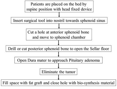 Flowchart Of Eet Procedure Download Scientific Diagram
