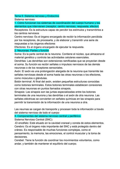 SOLUTION Sistema Nervioso Y Endocrino Studypool