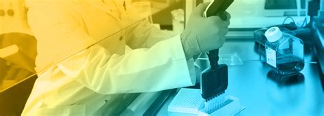 Aandm Stabtest Cell Based Bioassay