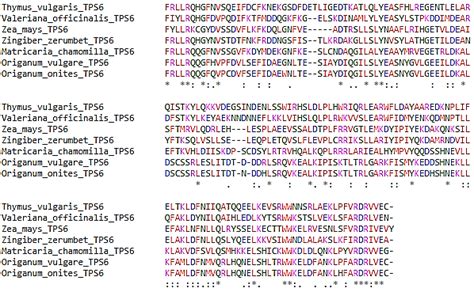 the multiple protein sequence alignment for partial o onites tps 6
