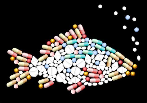 Guys You Need To Stop Taking Fish Antibiotics Longevity Live