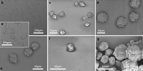 In Vitro Crystallization Of Calcium Carbonate At Different Download Scientific Diagram