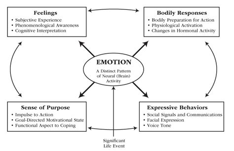 What Motivates People Exploring Human Behavior