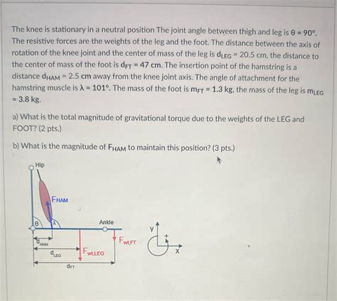 Solved The Knee Is Stationary In A Neutral Posit Solutioninn