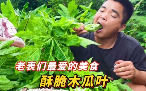 老表们最爱的酥脆木瓜叶 老炮说案 老炮说案 哔哩哔哩视频