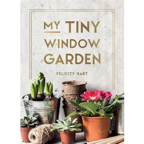 My Tiny Window Garden Big W