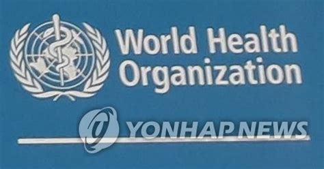 말리서 의료구호 중이던 의사 괴한에 납치…who 유감 표명