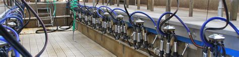 Chlorine Free Diary Circulation System Cleaners Kersia