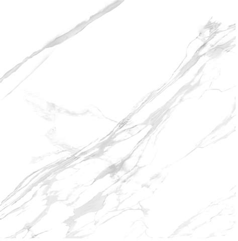 STATUARIO ITALIA A B GLOSSY FOR FLOOR Wehomein