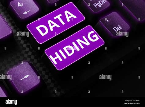 Writing Displaying Text Data Hiding Concept Meaning Secretly Embedding