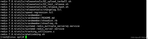 【redis】linux下redis7的安装，启动与停止 阿里云开发者社区