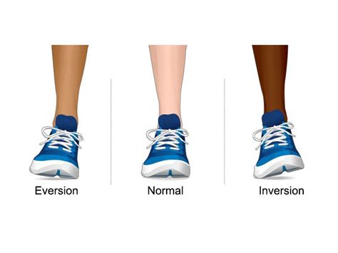 What Is Inversion And Eversion Orthotics Insoles And Eva Supplier