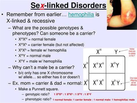 Ppt Unit 8 Genetics And Heredity Powerpoint Presentation Free