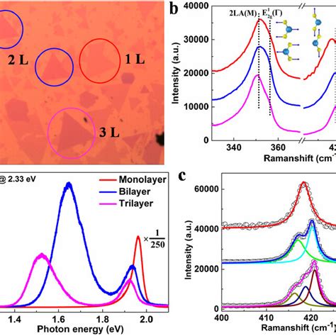 Microscopy And Characterization Of Monolayer Bilayer And Trilayer Ws2