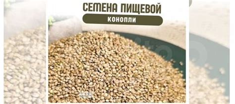 Пищевая конопля семена на заказ купить в Михайловске | Товары для дома ...