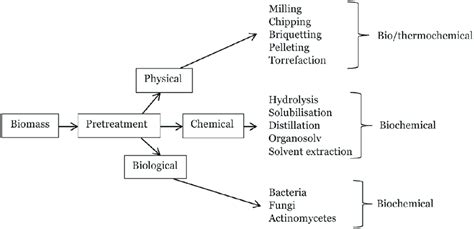 A Layout Showing Different Pretreatment Methods For Biomass And Their Download Scientific