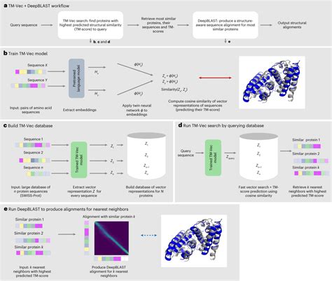 Deep Learning Powers New Methods For Protein Remote Homology Detection