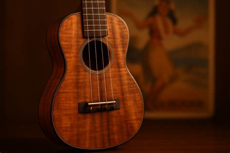 Ukulele Strings How Many Does An Ukulele Have Ultp Blog