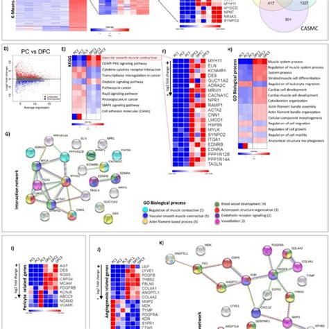 Next Generation Rna Sequencing Analysis Of Naïve And Differentiated Download Scientific Diagram