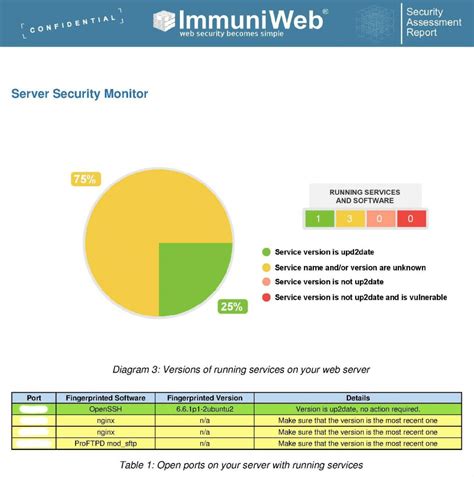 Immuniweb Software Testing Tools Guide