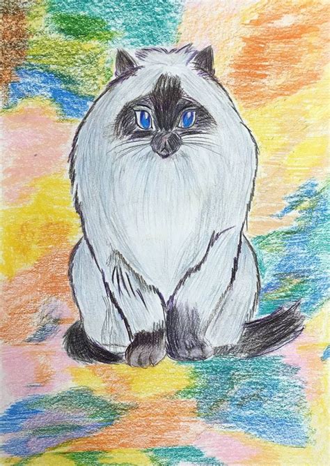 SIAMESE CAT Drawing Cat Drawing Drawings Siamese Cats