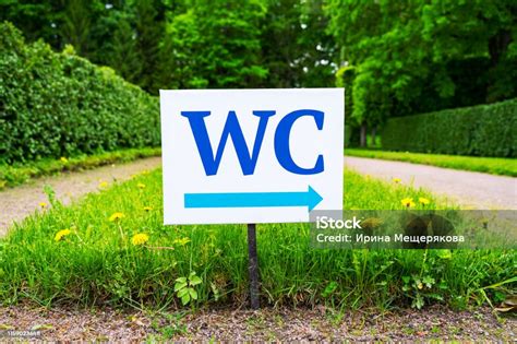 公園綠樹背景的廁所標誌 白色金屬板上的白色 Wc 標誌 藍色指向箭頭指示方向 照片檔及更多 廁所 家居設施 照片 廁所 家居設施 休息 俄羅斯 Istock