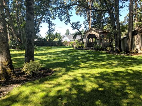 Scotts Mills County Park 2026 Best Of Tiktok Instagram And Reddit