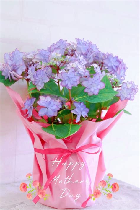 おはようございますღ ︎v ︎💐💜🤍☕️ 明日は母の日💐昨日~東京に住む娘夫婦から一足早いプレゼントが届きました🎁😆 いつも母の日と父の日