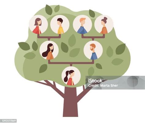 가족 계보 나무 부모와 조부모 자녀 계보 혈통 계보 개념 벡터 플랫 일러스트 레이 션 가계도에 대한 스톡 벡터 아트 및 기타