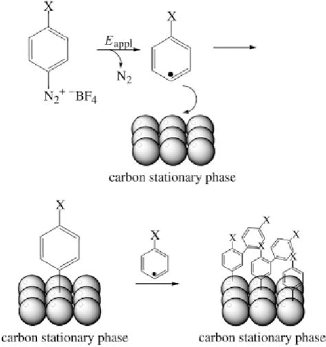 Schematic Representation Of The Functionalization Of Carbon Stationary Download Scientific