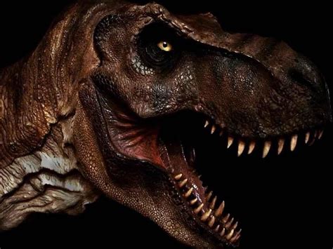 T Rex Wallpapers Top Free T Rex Backgrounds Wallpaperaccess