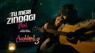 Tu Meri Zindagi Hai Vishal Mishra Full Song Kartik Aaryan Sreeleela