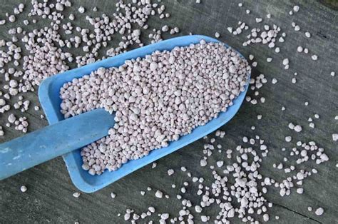 The Best Seed Starting Fertilizers Minneopa Orchards