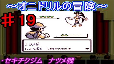 【ポケモン 赤】オニドリルの冒険♯19 かくとうどうじょうとセキチクジム ナツメ戦編 Pokémon Charts
